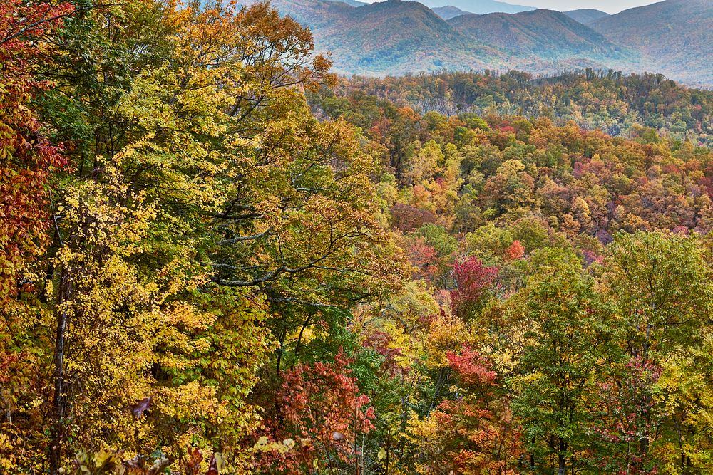 Laurel, MT — Exterior Design for Homes Near Rail Lines, Highways, and ...
